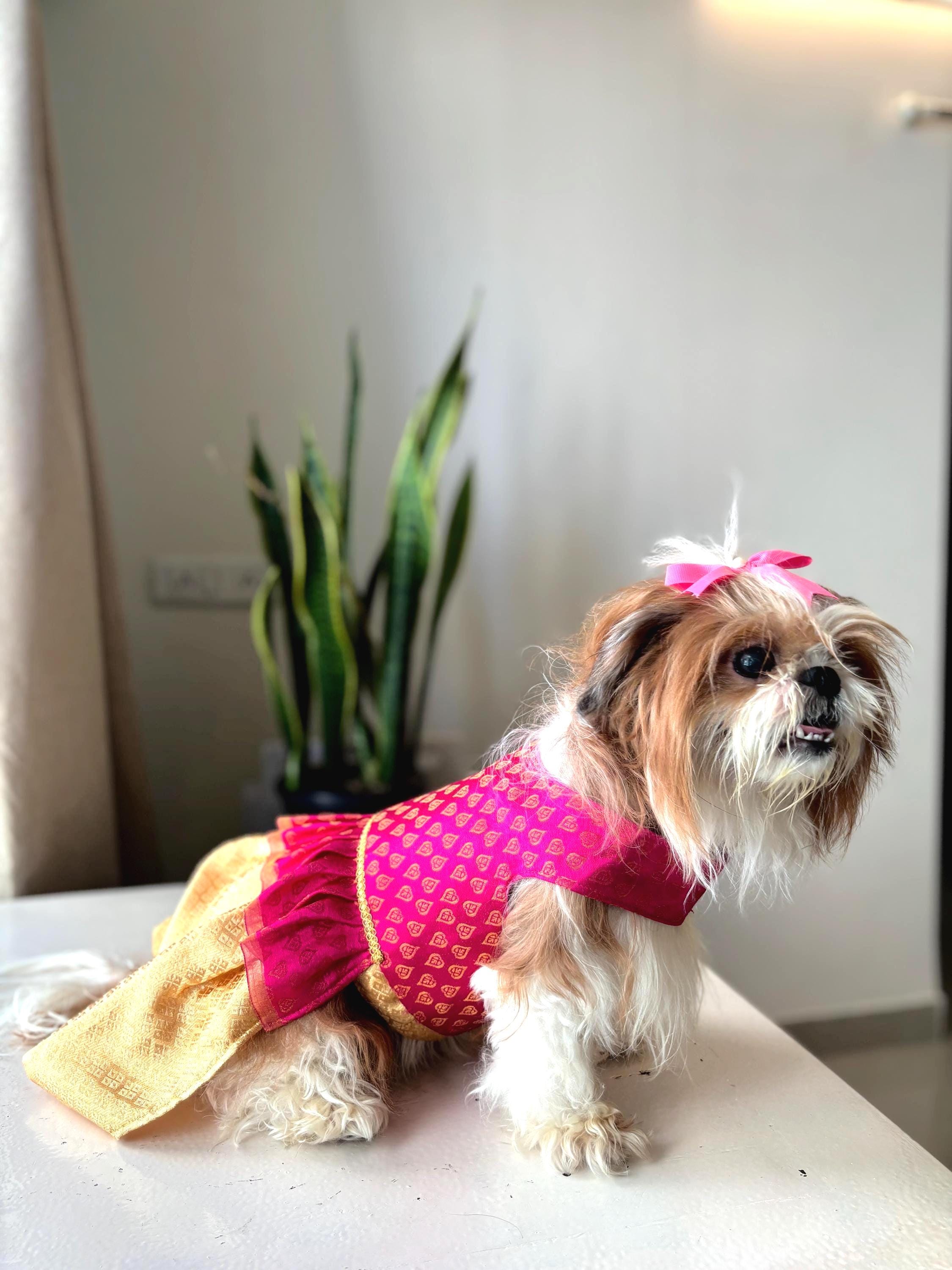 Handmade Dog Lehenga Choli: Indian Pet Wedding Outfit - Etsy