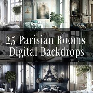 Paris Rooms Digital Backdrops, Portrait Backdrop Overlays, Studio ...