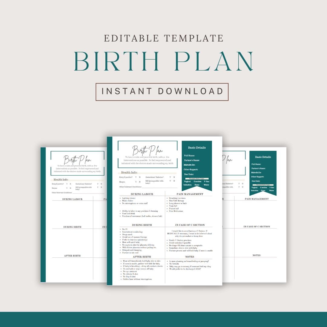Editable Birth Plan Template | Printable Birthing Plan | Labor and ...