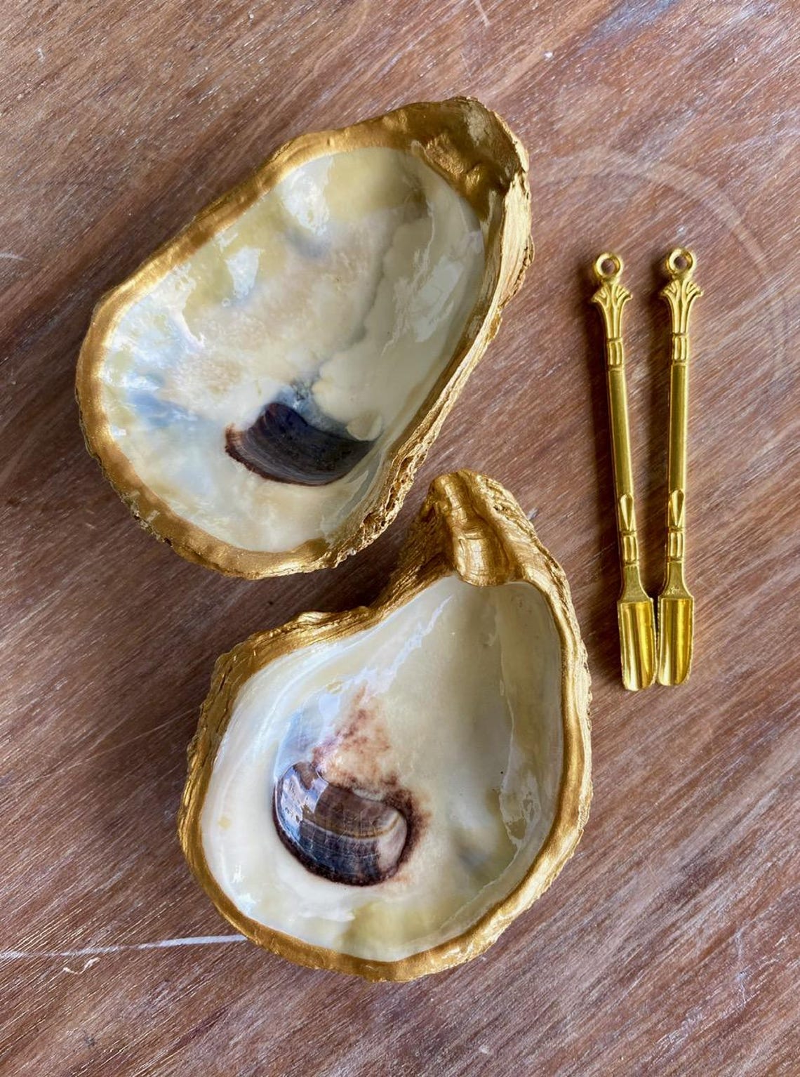 Oyster Shell Salt and Pepper Dish, Salt and Pepper Dish, Seasoning Dish ...