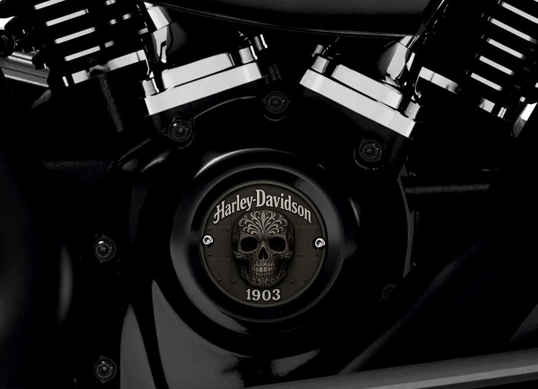 Harley Davidson M8 Timing Point Cover - Etsy