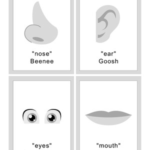 Digital Printable Farsi/persian Body Parts Flashcards - Etsy Canada