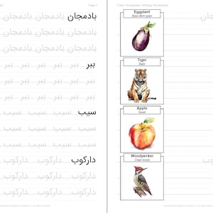 Fasi/persian Alphabet Placement in Vocabulary Writing Worksheet ...