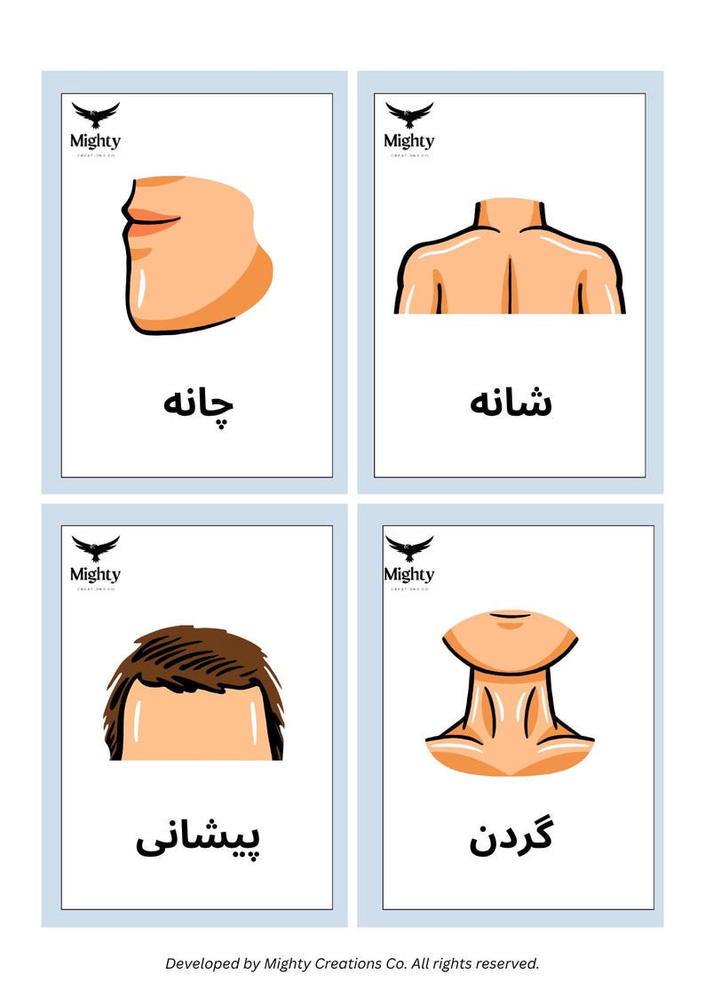 Farsi/persian Body Parts Digital Printable Flashcards - Etsy