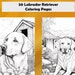 Labrador Retriever Coloring Pages: 50 Printable Dog Illustrations (PDF ...