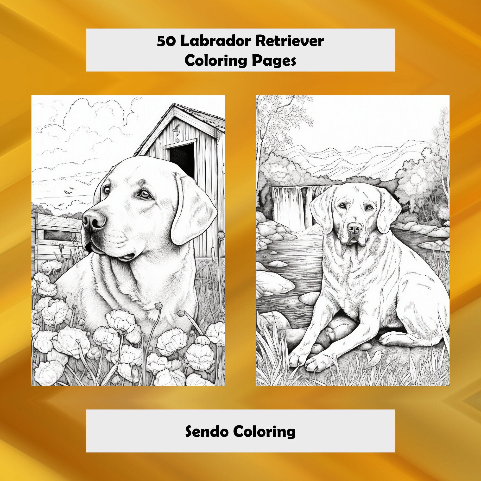 Labrador Retriever Coloring Pages: 50 Printable Dog Illustrations (PDF ...