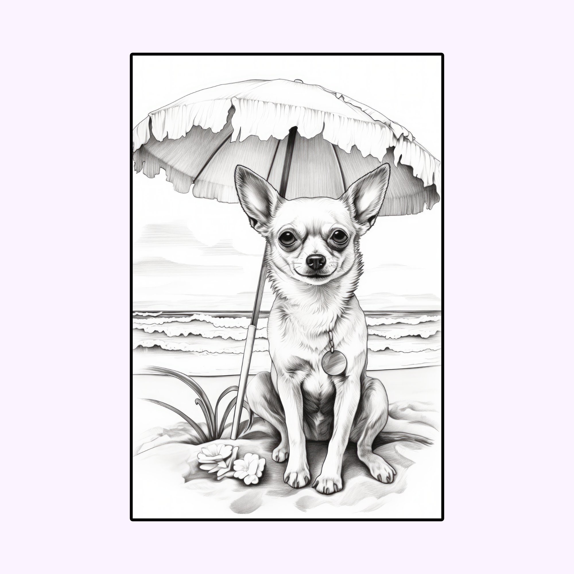 15 Chihuahua Coloring Pages: Printable Dog Art (PDF Download) - Etsy