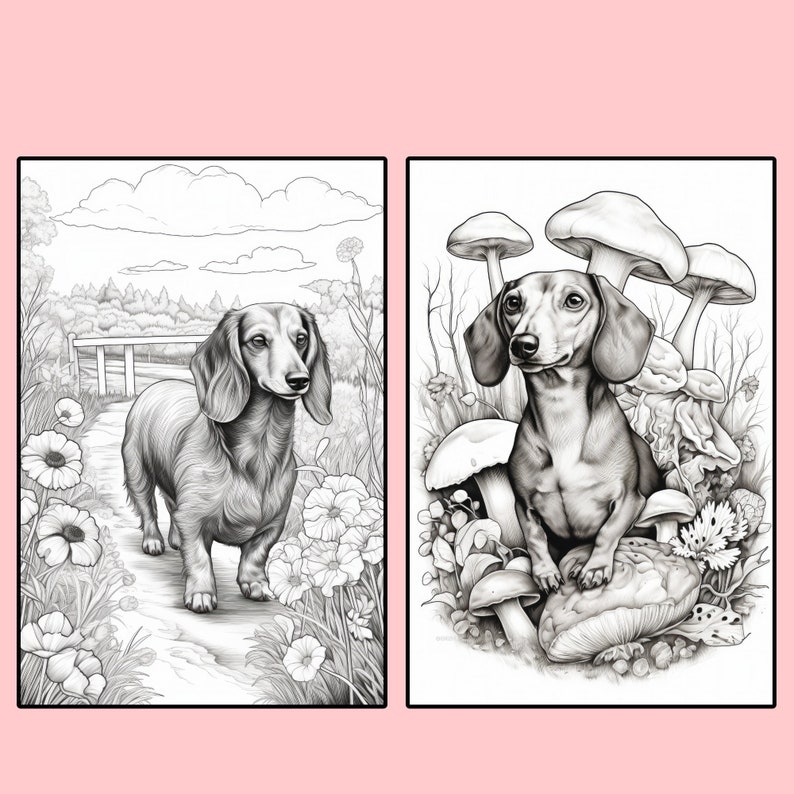 50 Dachshund Coloring Pages: Printable Dog Art (PDF Download) - Etsy