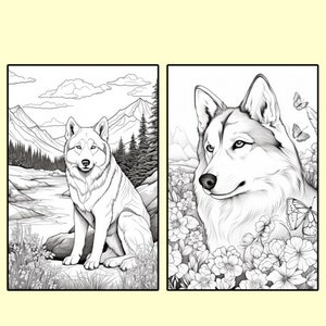 50 Siberian Husky Coloring Pages, Printable PDF Dog Coloring Pages ...