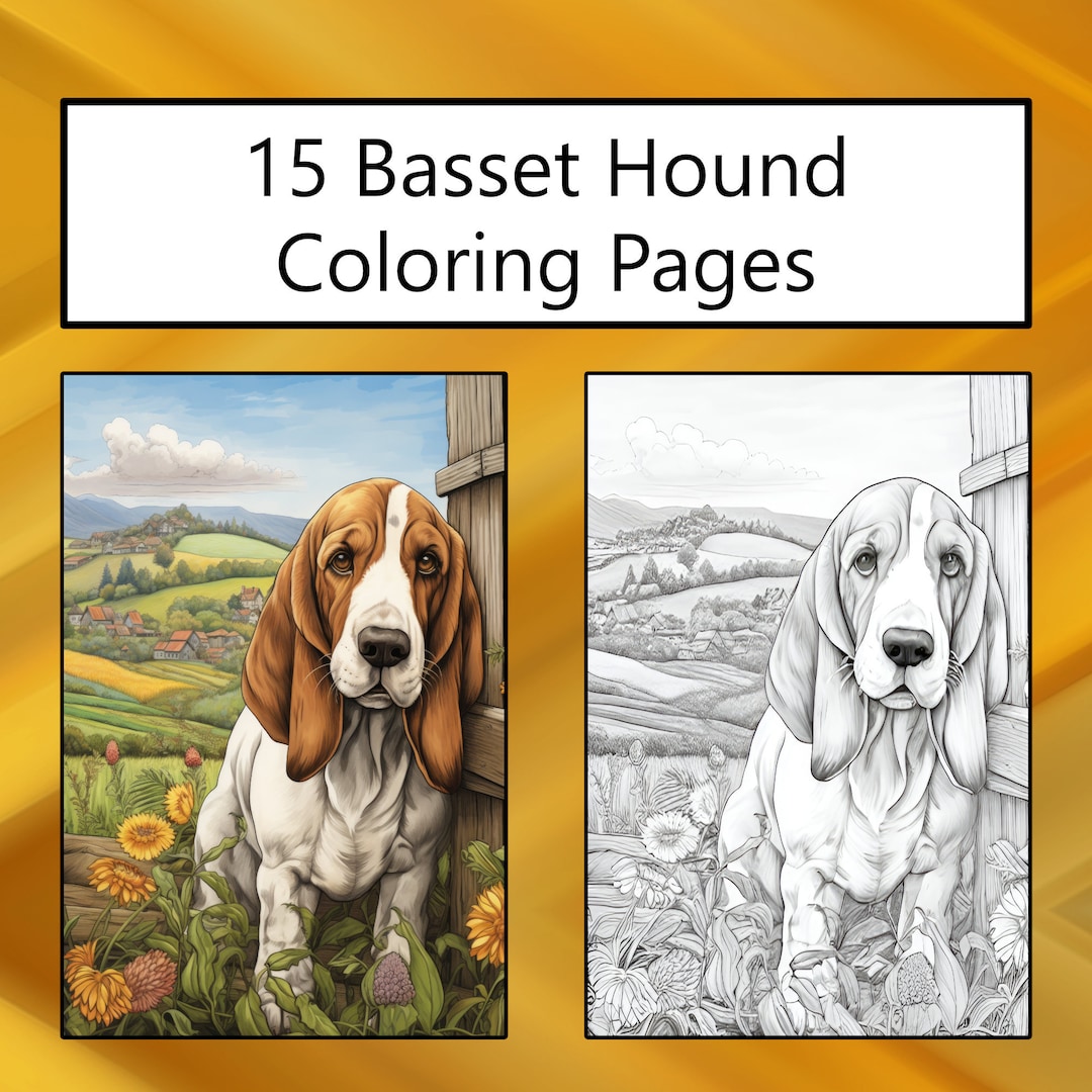 15 Basset Hound Coloring Pages: Printable Dog Art (PDF) - Etsy