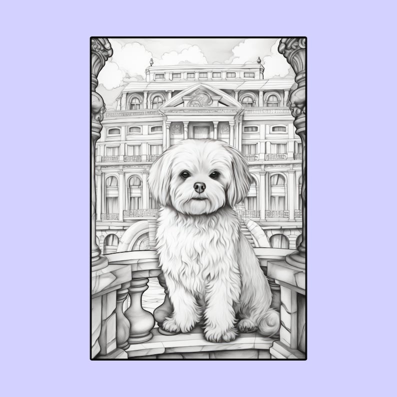Maltese Dog Coloring Pages: 15 Printable Illustrations (PDF) - Etsy ...