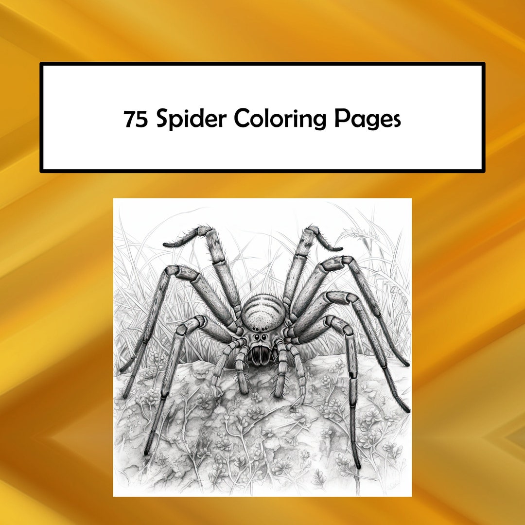 Spider Coloring Pages: 75 Printable AI Illustrations (PDF) - Etsy