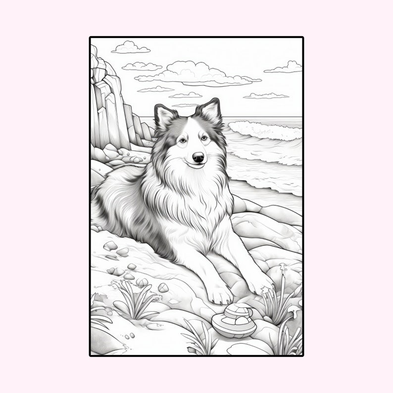 Shetland Sheepdog Coloring Pages: 20 Printable Dog Illustrations (PDF ...
