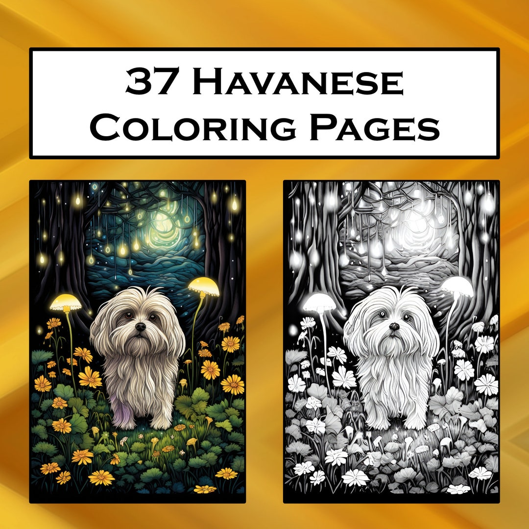 37 Havanese Coloring Pages, Printable PDF Dog Coloring Pages, Dachshund ...