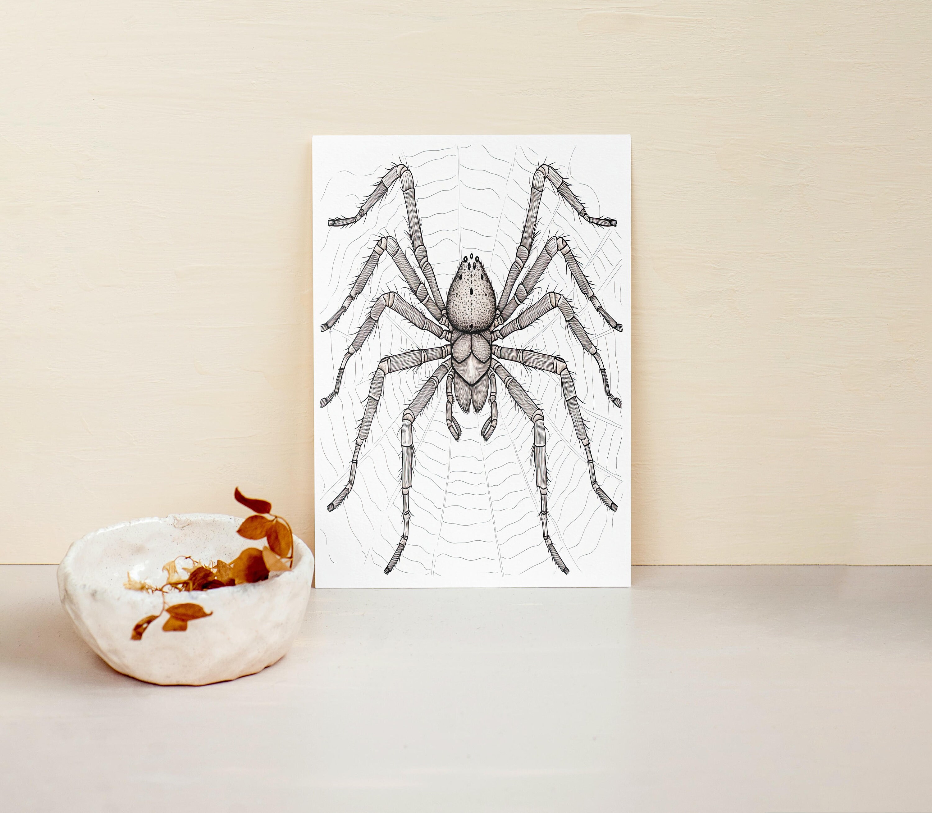 Spider Coloring Pages: 75 Printable AI Illustrations (PDF) - Etsy