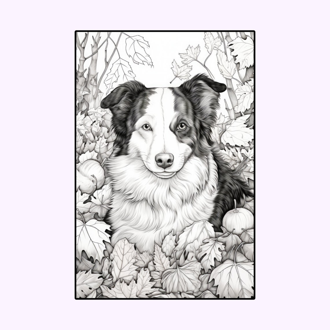 15 Border Collie Coloring Pages, Printable PDF Dog Coloring Pages ...