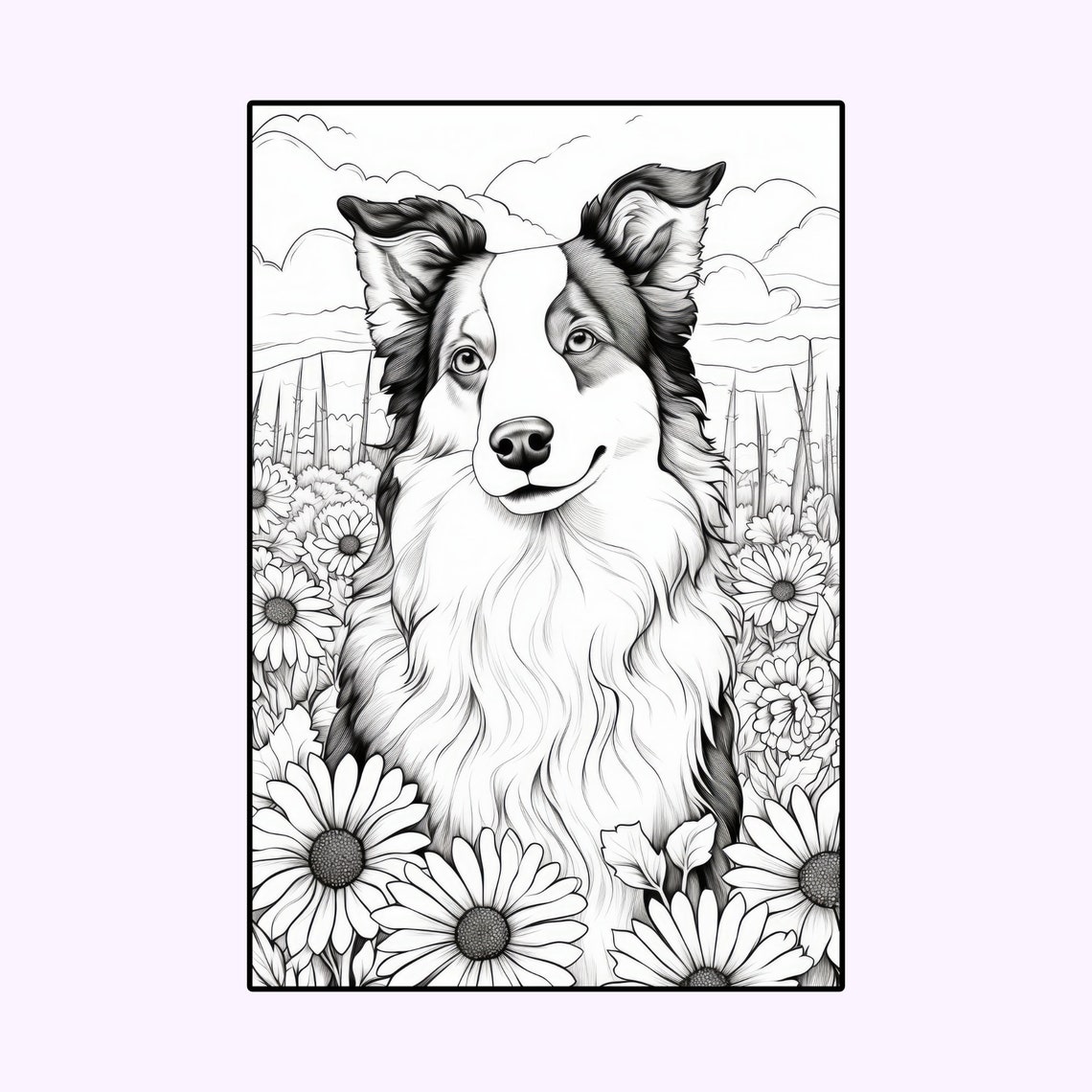 15 Border Collie Coloring Pages, Printable PDF Dog Coloring Pages ...