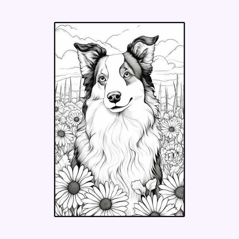 15 Border Collie Coloring Pages, Printable PDF Dog Coloring Pages ...