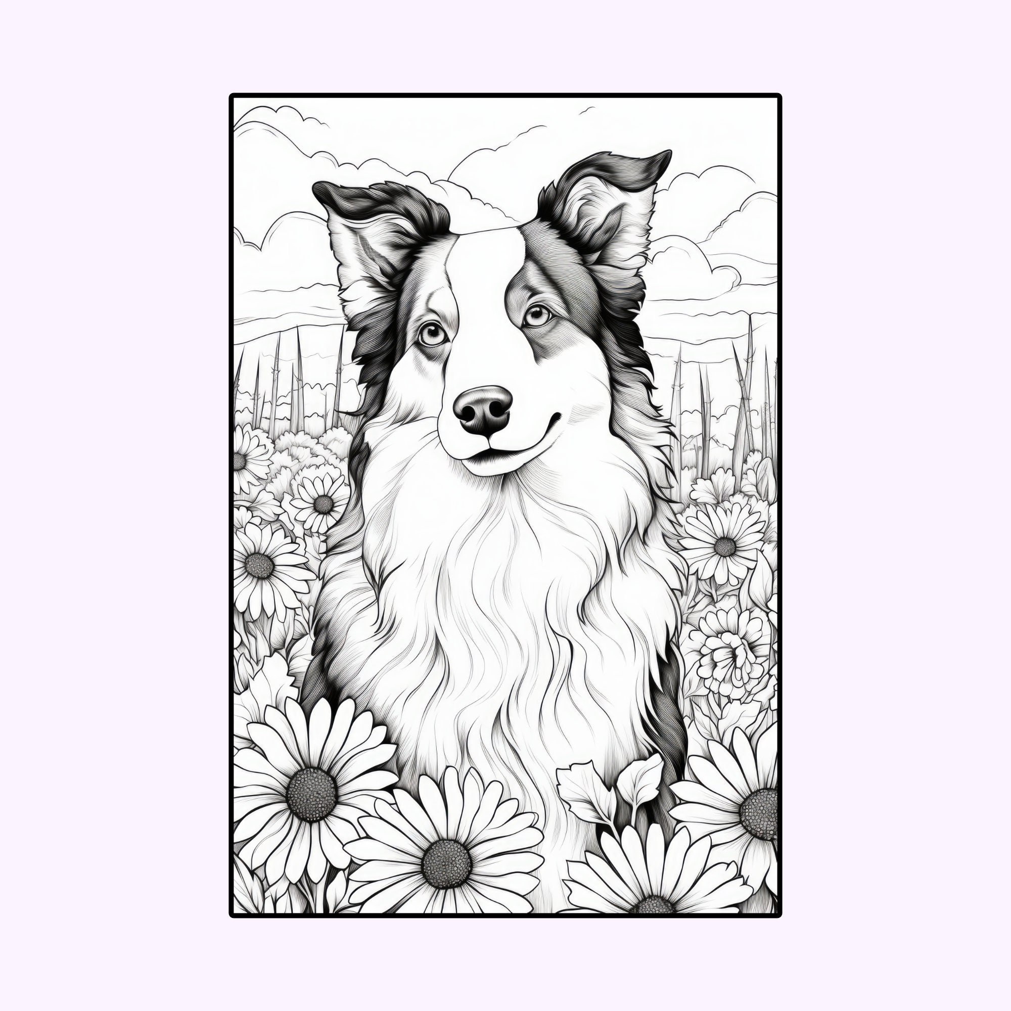 15 Border Collie Coloring Pages, Printable PDF Dog Coloring Pages ...