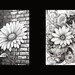 Daisy Coloring Pages, 25 Daisy Coloring Printable PDF Pages, Daisy ...