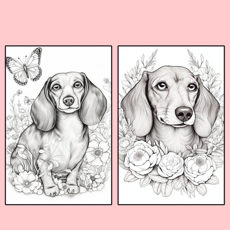 50 Dachshund Coloring Pages: Printable Dog Art (PDF Download) - Etsy