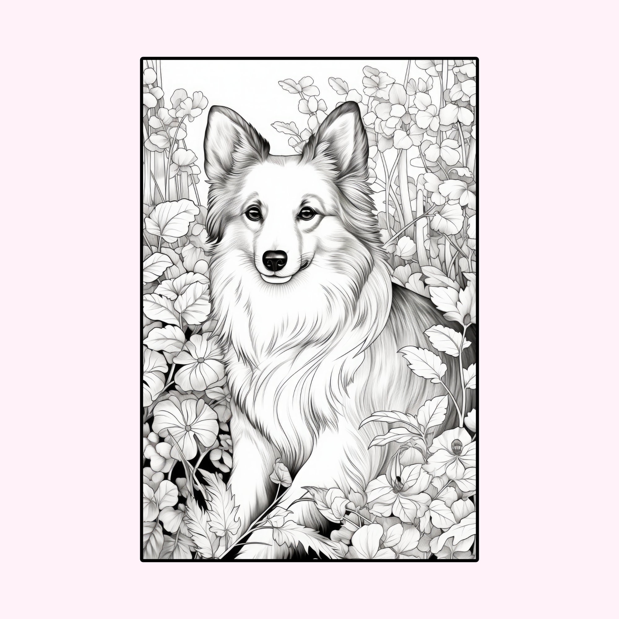 Shetland Sheepdog Coloring Pages: 20 Printable Dog Illustrations (PDF ...