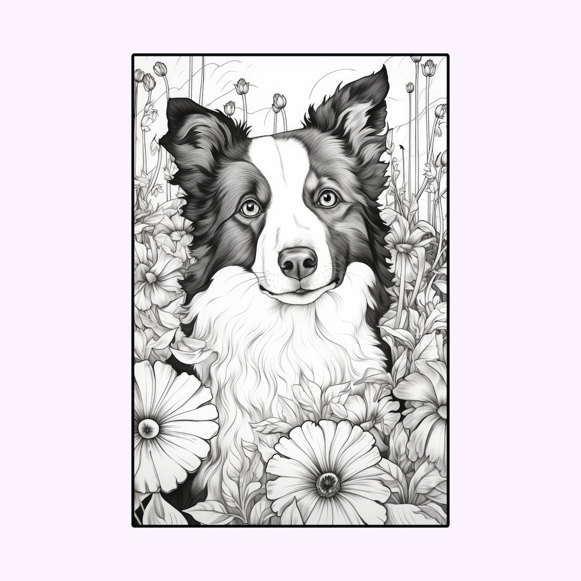 15 Border Collie Coloring Pages, Printable PDF Dog Coloring Pages ...