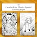 50 Cavalier King Charles Spaniel Coloring Pages: Printable Dog Art (PDF ...