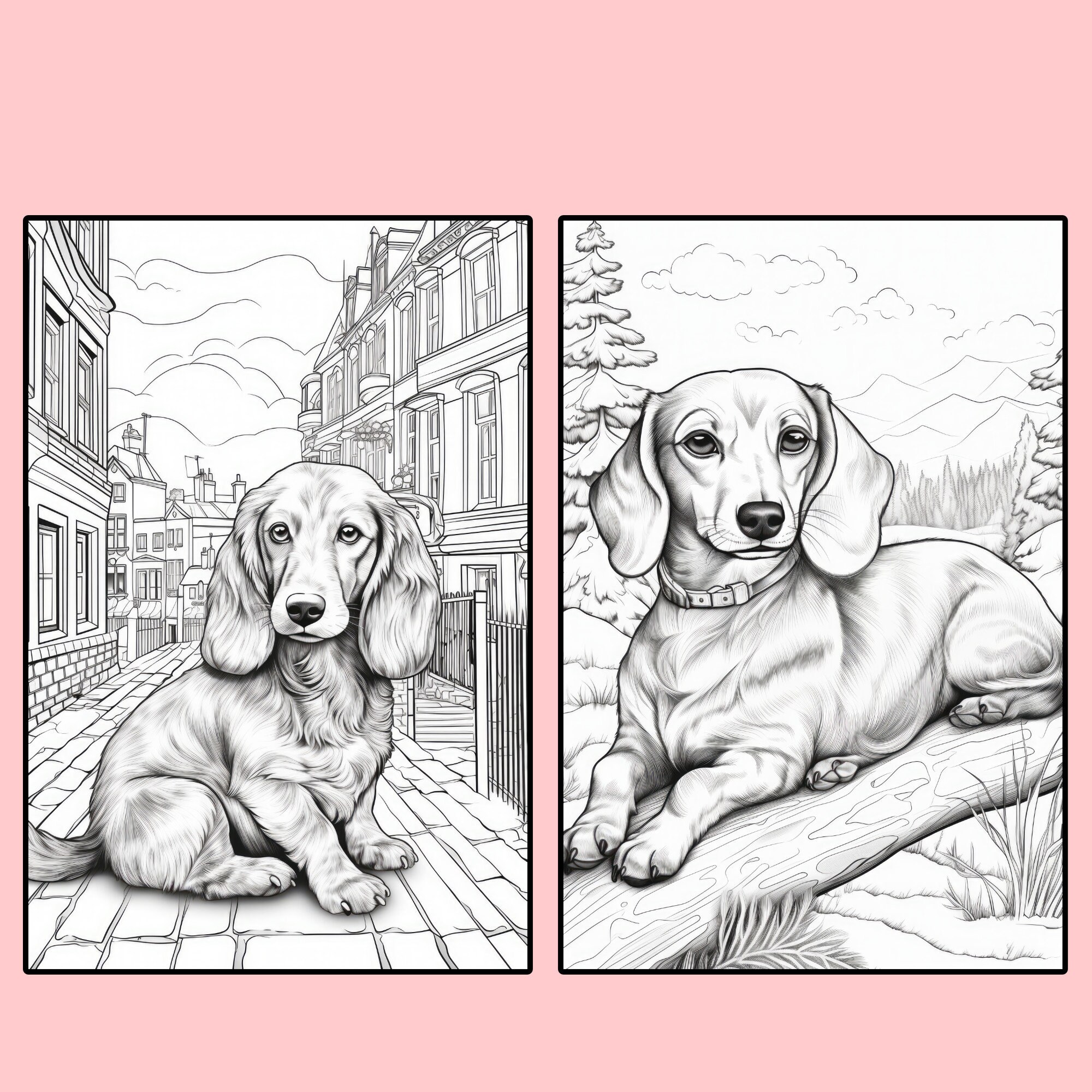 50 Dachshund Coloring Pages: Printable Dog Art (PDF Download) - Etsy