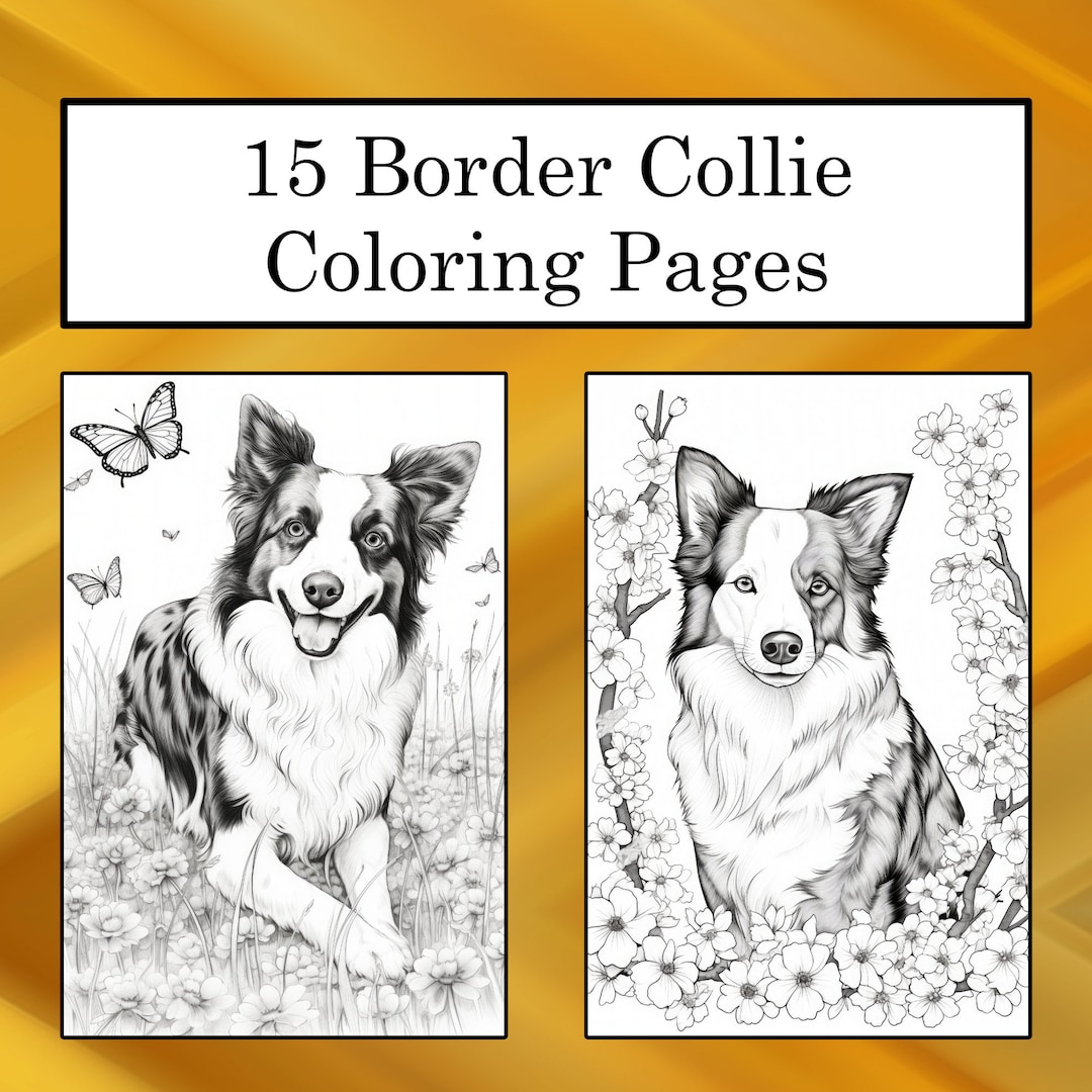 15 Border Collie Coloring Pages, Printable PDF Dog Coloring Pages ...