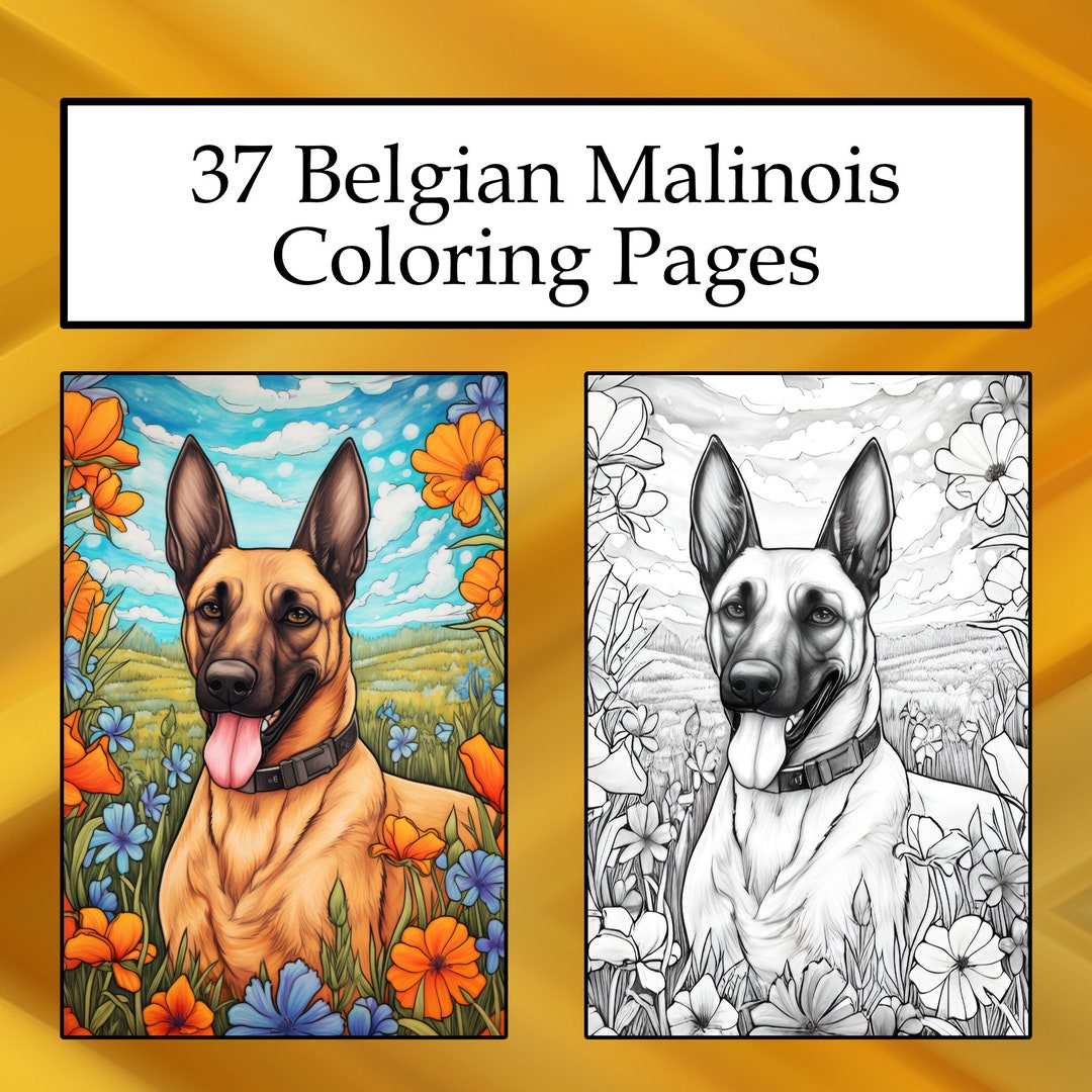 Belgian Malinois Coloring Pages: 37 Printable Dog Illustrations (PDF ...