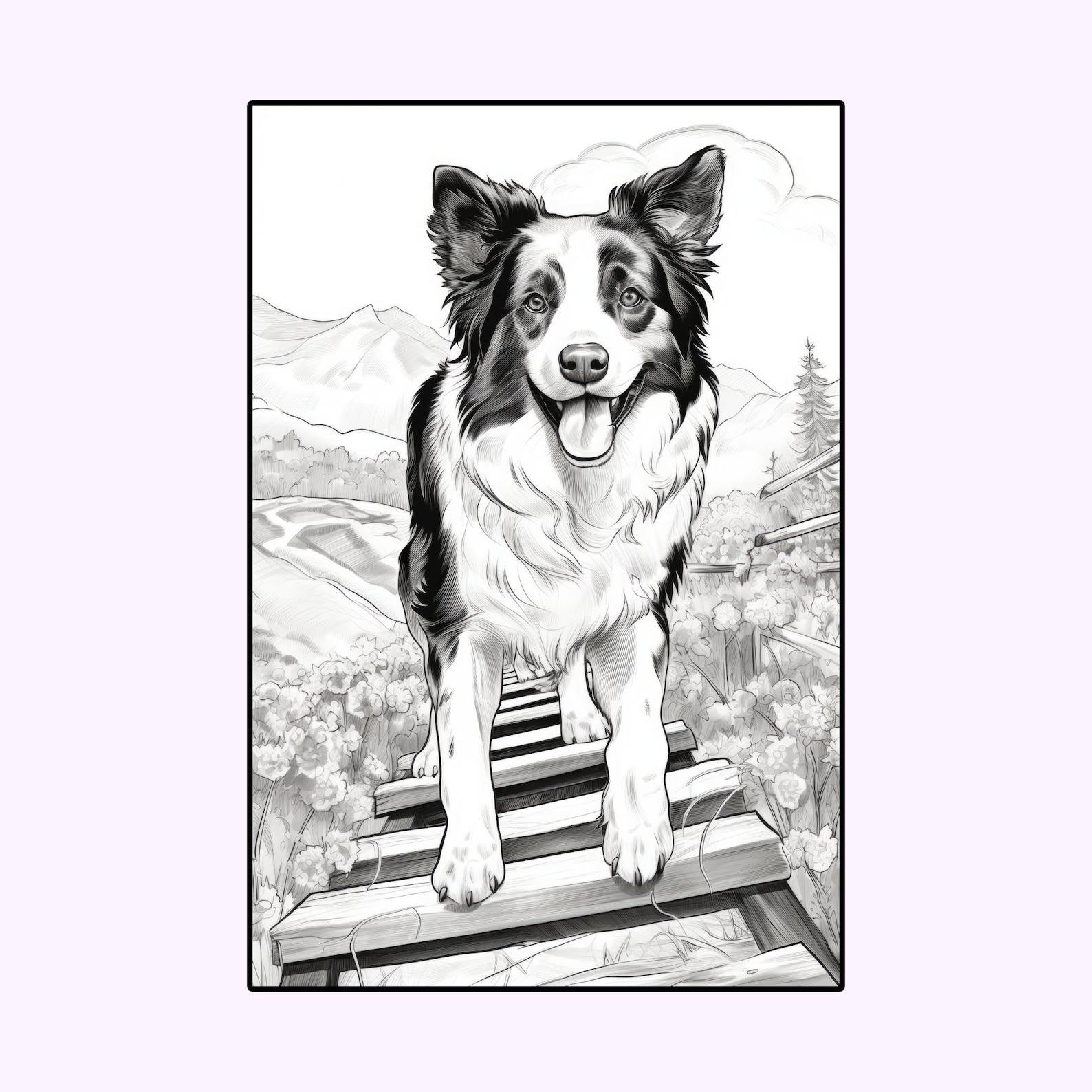 15 Border Collie Coloring Pages, Printable PDF Dog Coloring Pages ...