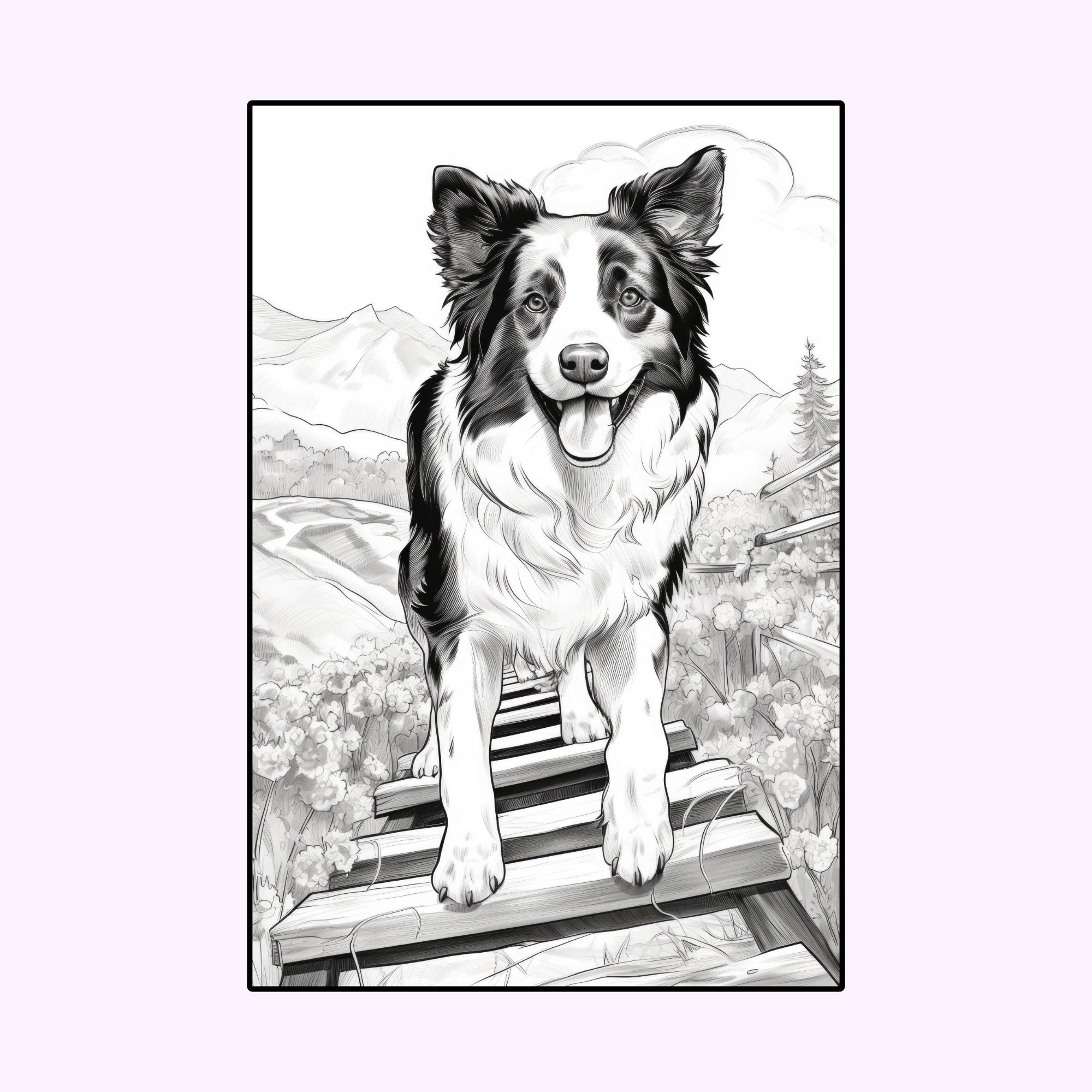 15 Border Collie Coloring Pages, Printable PDF Dog Coloring Pages ...