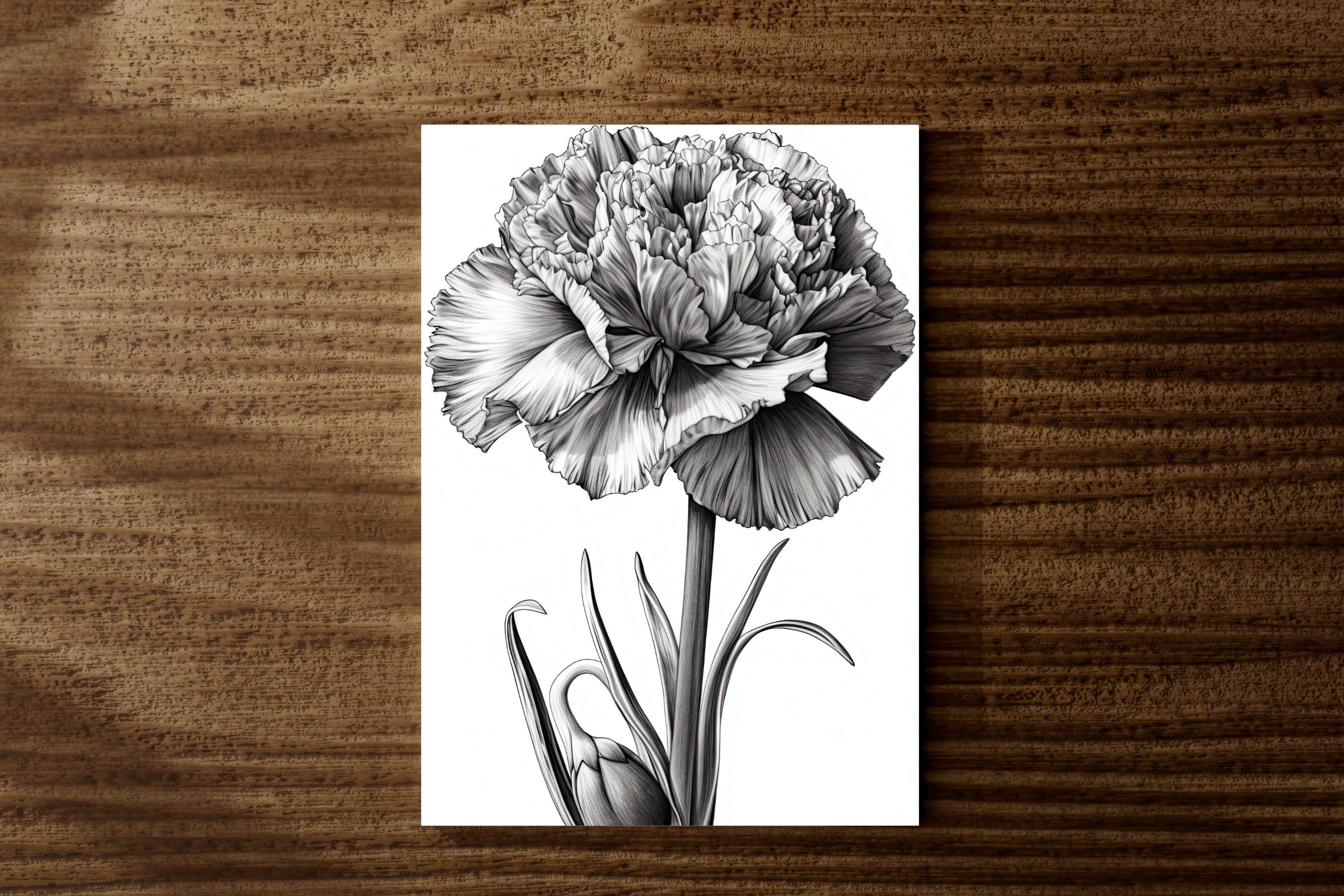 Carnation Flower Coloring Pages: 25 Printable Designs (PDF) - Etsy