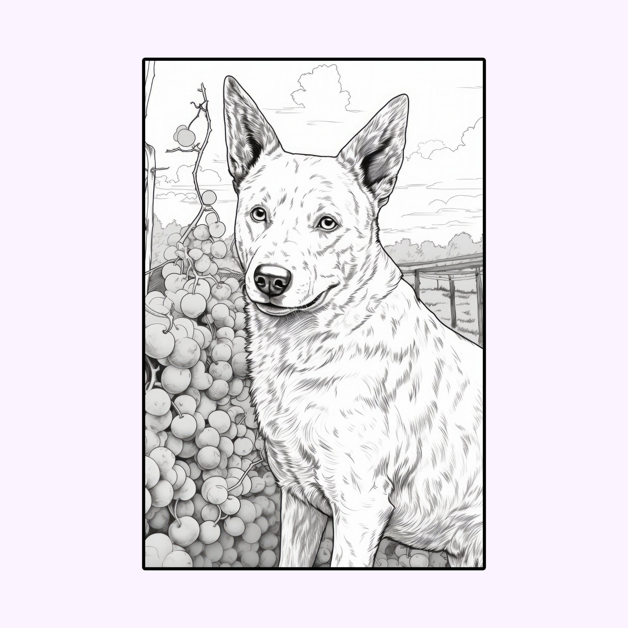 20 Australian Cattle Coloring Pages, Printable PDF Dog Coloring Pages ...