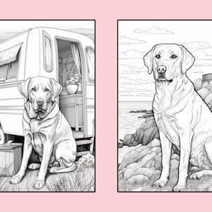 Labrador Retriever Coloring Pages: 50 Printable Dog Illustrations (PDF ...