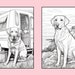 Labrador Retriever Coloring Pages: 50 Printable Dog Illustrations (PDF ...