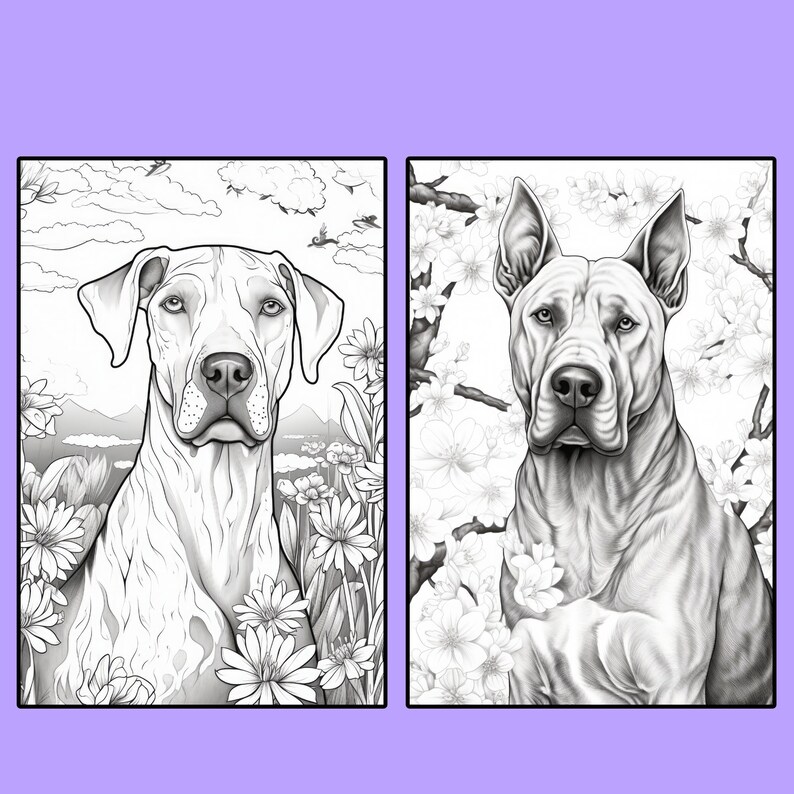 47 Great Dane Coloring Pages, Printable PDF Dog Coloring Pages, Great ...