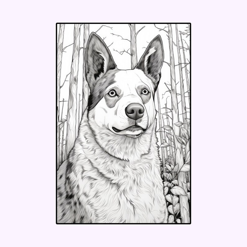 Australian Cattle Dog Coloring Pages: 20 Printable Designs (PDF) - Etsy ...