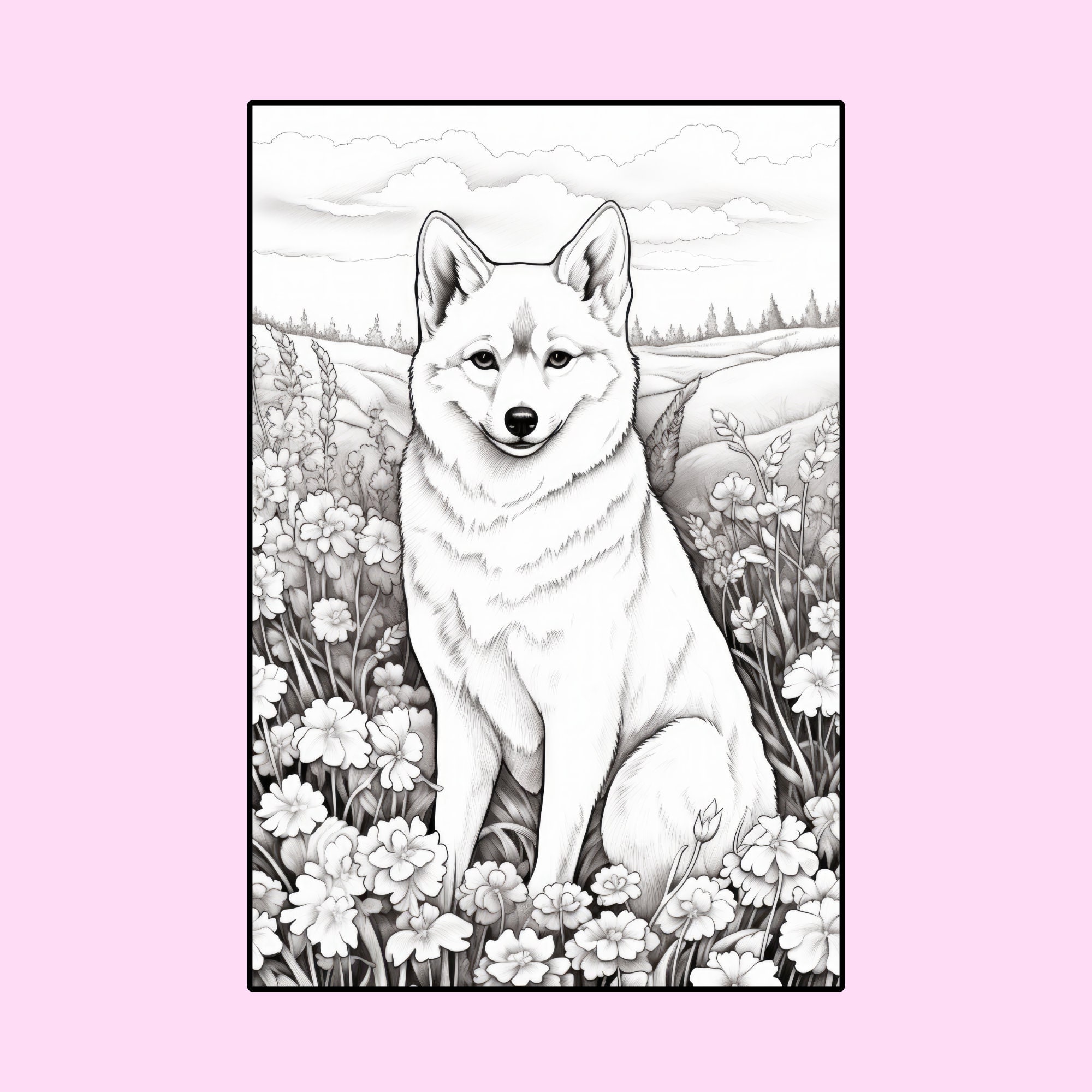 Shiba Inu Coloring Pages: 15 Printable Dog Illustrations (PDF) - Etsy