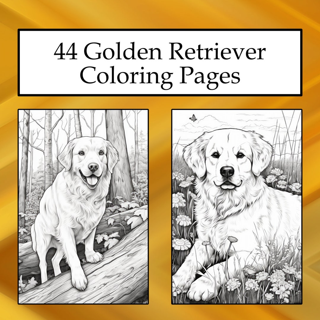 44 Golden Retriever Coloring Pages: Printable Dog Art (PDF) - Etsy