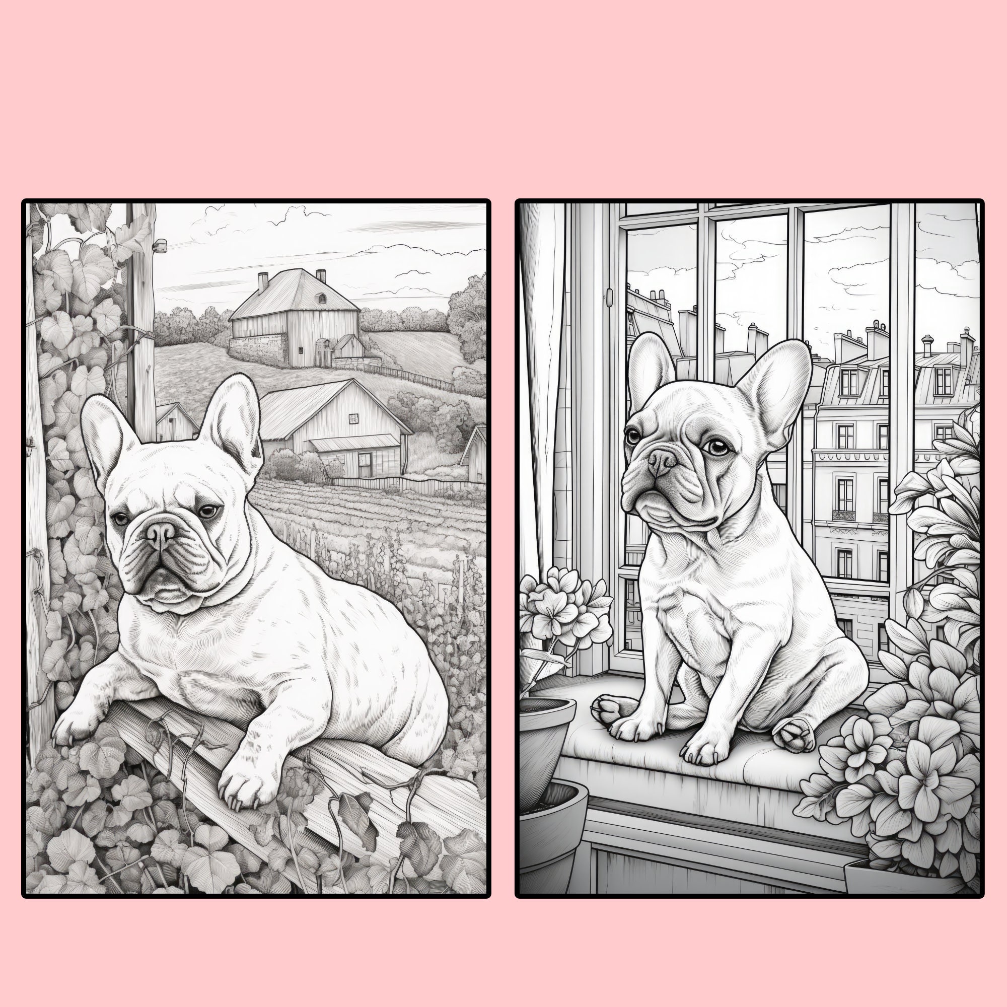 50 French Bulldog Coloring Pages: Detailed Illustrations (printable PDF ...
