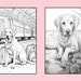 Labrador Retriever Coloring Pages: 50 Printable Dog Illustrations (PDF ...