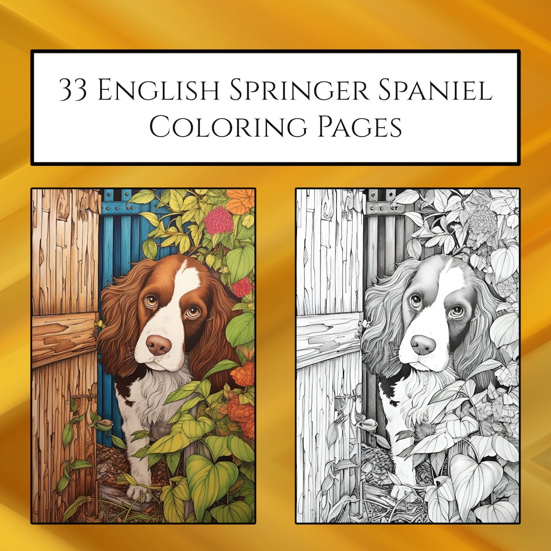 English Springer Spaniel Coloring Pages: 33 Dog Illustrations ...