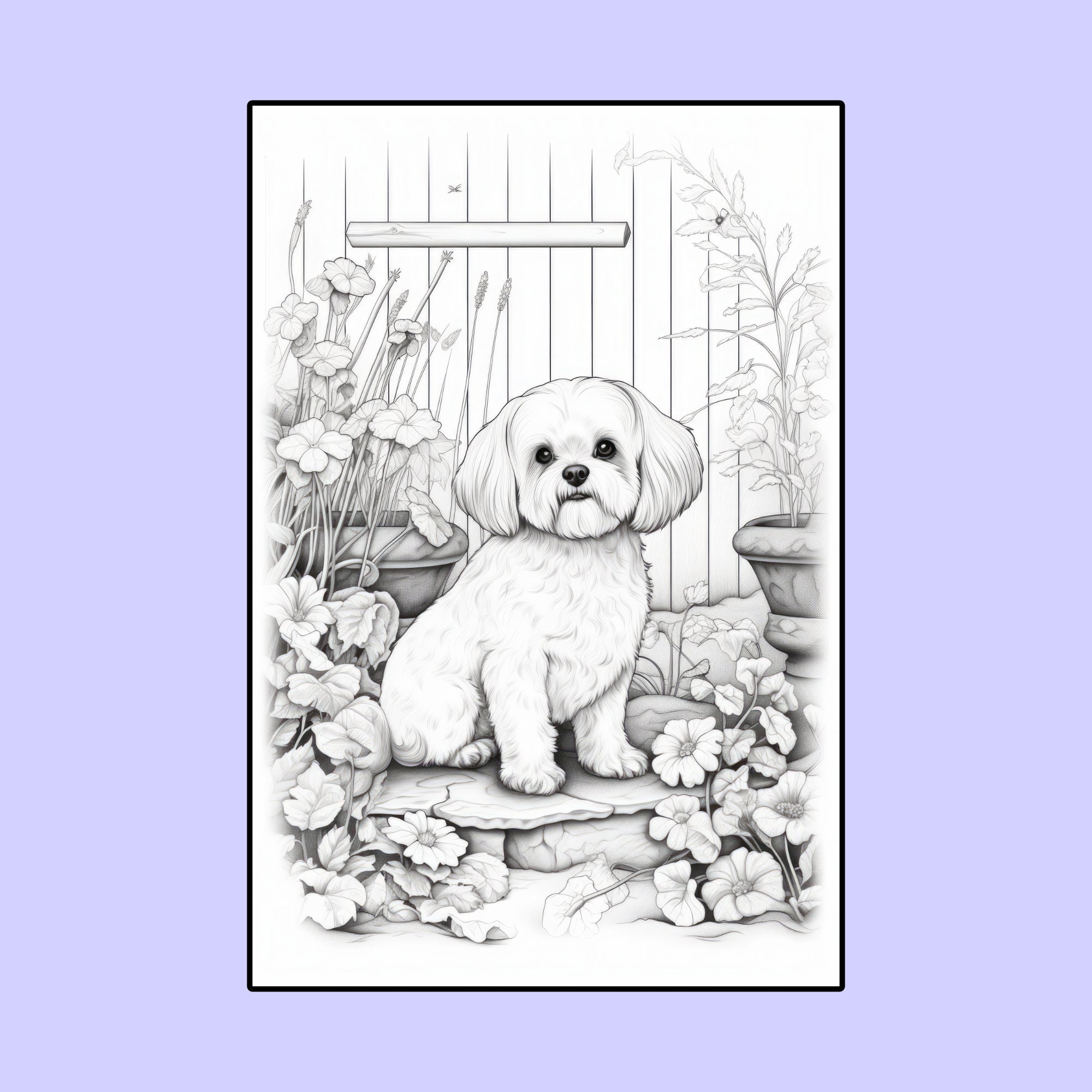 Maltese Dog Coloring Pages: 15 Printable Illustrations (PDF) - Etsy