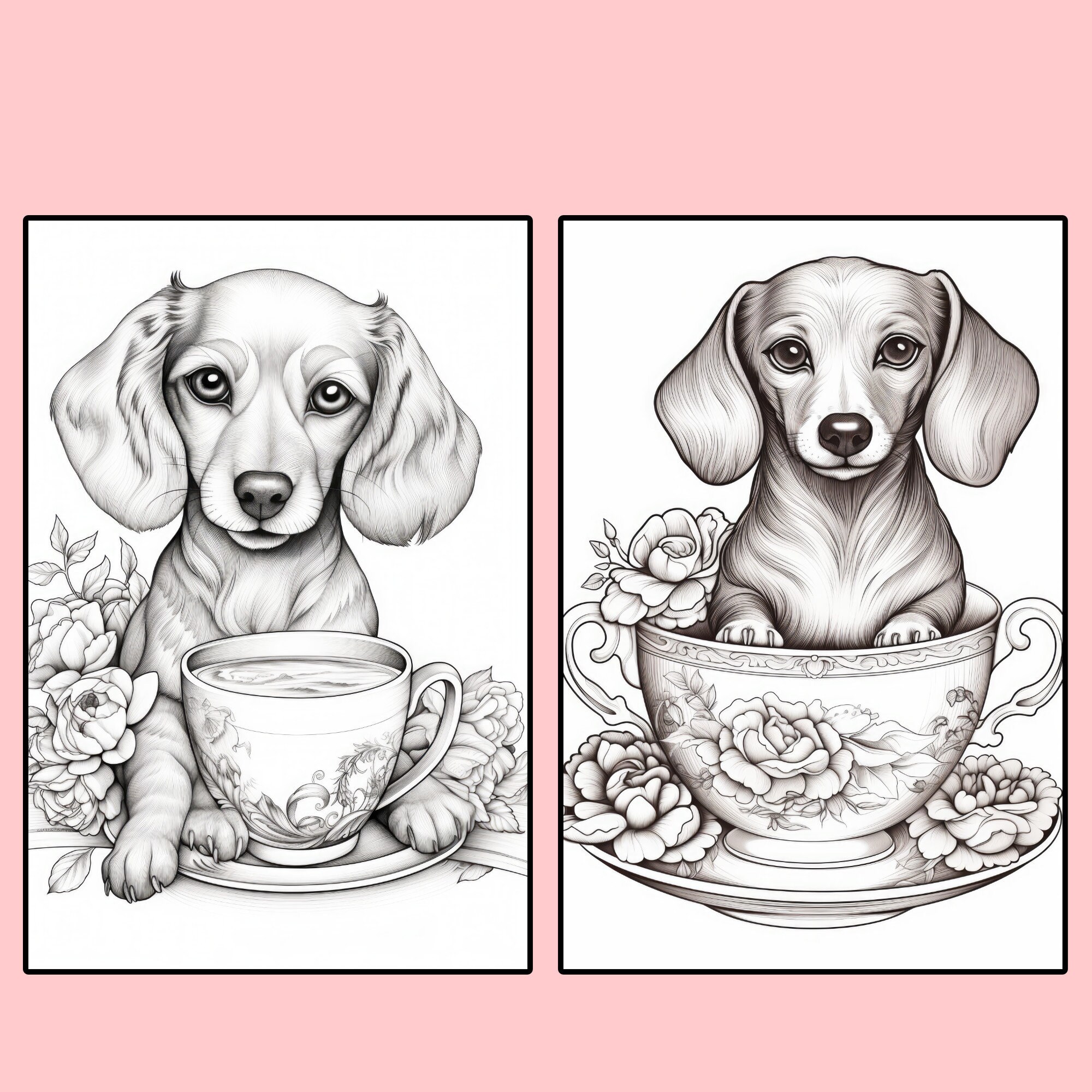 50 Dachshund Coloring Pages: Printable Dog Art (PDF Download) - Etsy