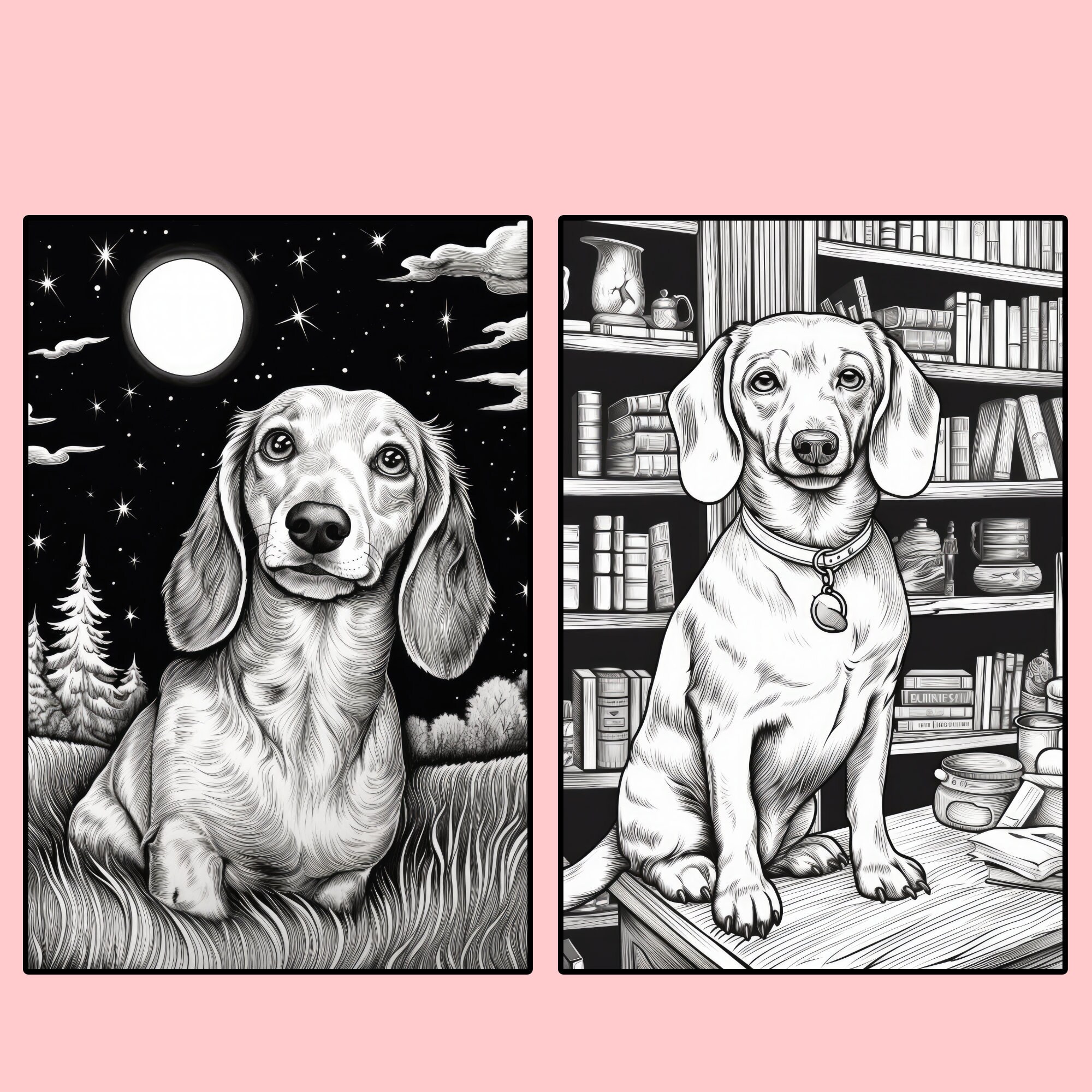 50 Dachshund Coloring Pages: Printable Dog Art (PDF Download) - Etsy