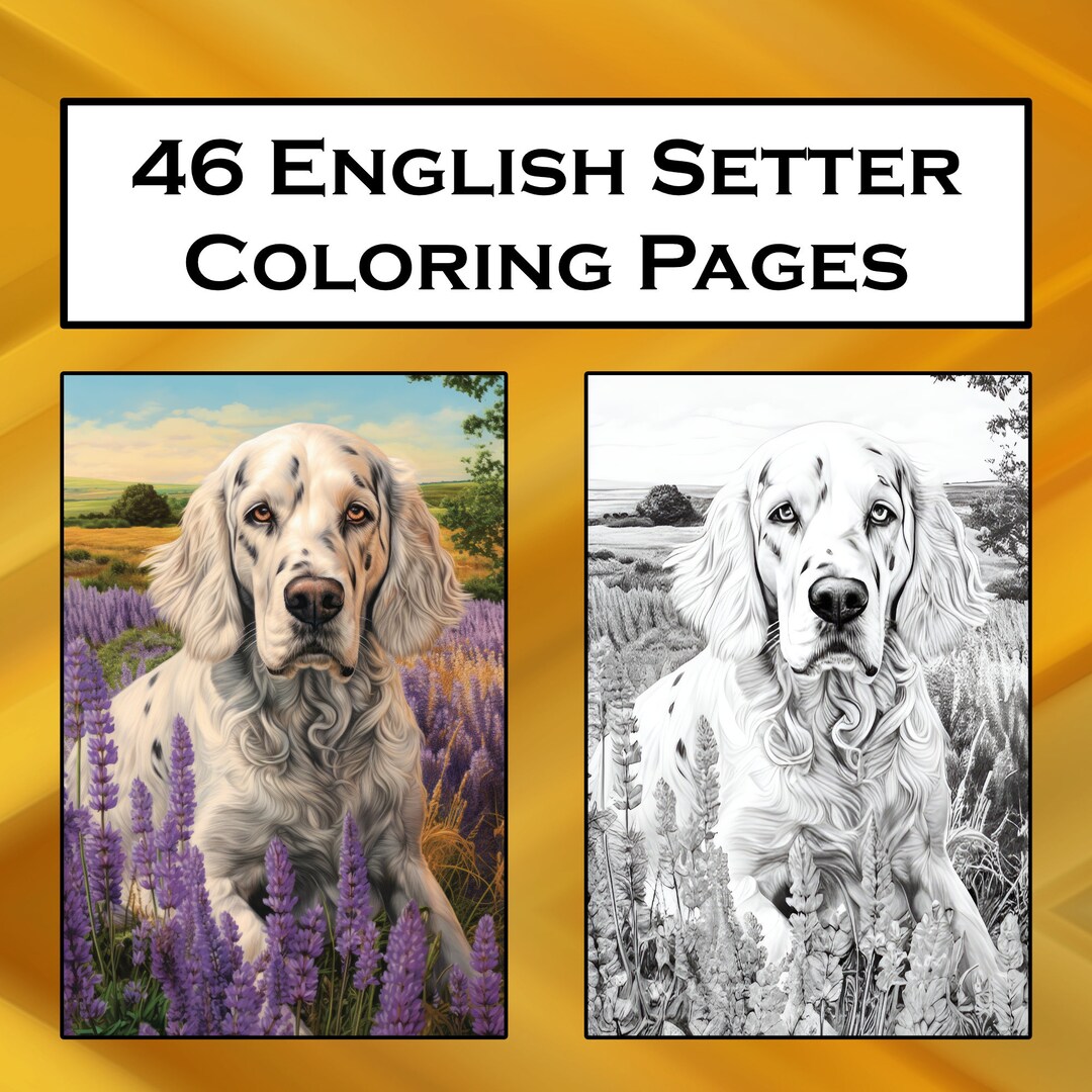 46 English Setter Coloring Pages, Printable PDF Dog Coloring Pages ...