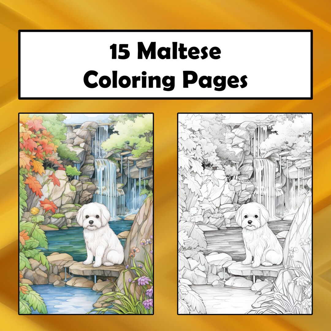 Maltese Dog Coloring Pages: 15 Printable Illustrations (PDF) - Etsy