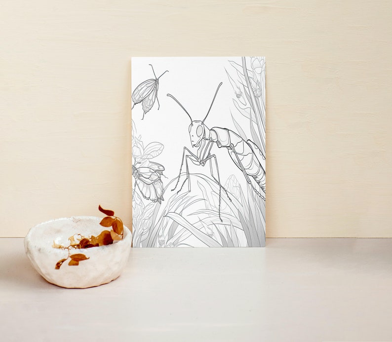 Praying Mantis Coloring Pages: 50 Printable Designs (PDF Download) - Etsy